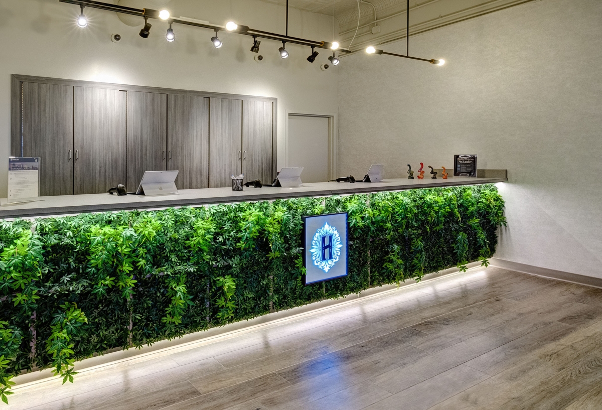 PROCESS - Cannabis Facility Construction